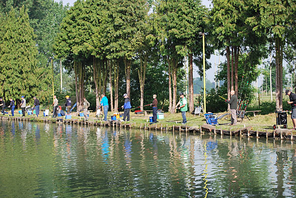 Forelvijvers - Forellenvijvers SINT-MARTIN